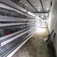China Fully Automatic H-Type Layer Cage System with Egg Collection & Belt Manure Removal for sale