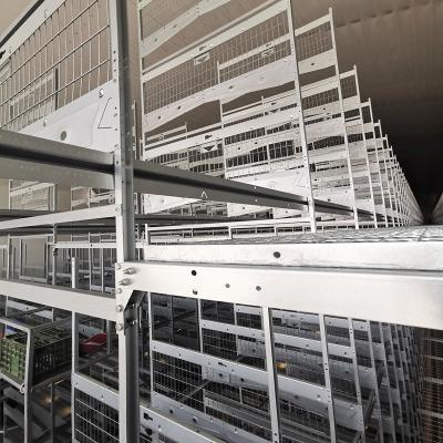 Cina Tipo galvanizzato gabbia di strato, 384 gabbie di 3-10Tiers H di deposizione delle uova del pollo in vendita