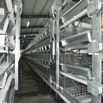 China 54-384 Vögel/Set Schicht Vogelkäfig, SONCAP Batteriesystem der Geflügelzucht zu verkaufen