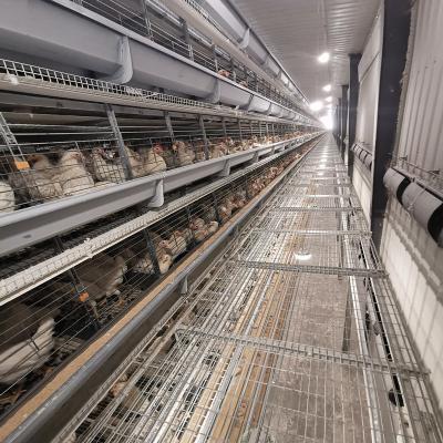 China 54-384 Vögel/Set Schicht Vogelkäfig, SONCAP Batteriesystem der Geflügelzucht zu verkaufen