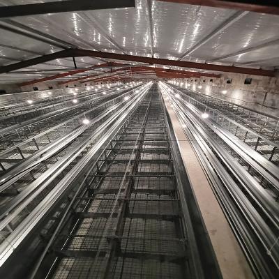 China HDG Steel Chicken Egg Laying Machine , 384 Birds 4 Tier Layer Cage for sale