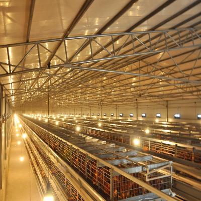 China 50000 Birds 5tiers Battery Chicken Cage Equipment Laying Hens Use ISO9001 Approval for sale
