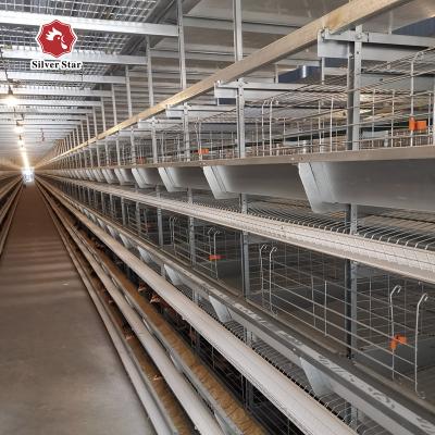 China H Type Automatic Layer Cage System , 450cm2/Bird Q235 4 Tier Chicken Cage for sale