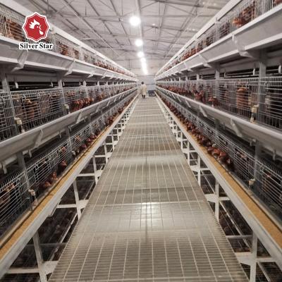 China 650x625x500mm Layer Chicken Cage for sale