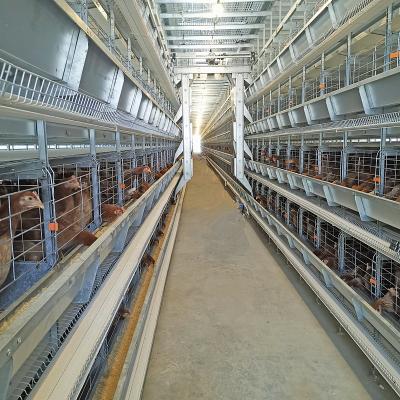 China 0.75kw Auto Feeding Layer Chicken Cage 54-384 Birds For Husbandry for sale