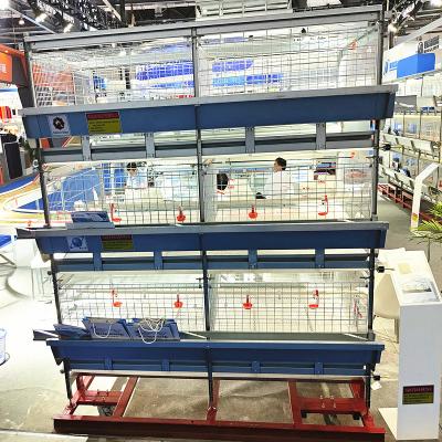 Cina Attrezzatura di avicoltura della fila di HDG 4 per i prodotti 200birds/Cage dei polli da arrosto in vendita