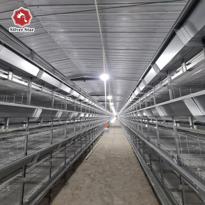 Cina Attrezzatura di Hunsbandry degli uccelli della gabbia 200 del pollo da carne di Zn-Al di Tires del metallo 4 in vendita
