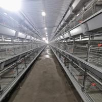 China H Type Automatic Poultry Cage for Chicken Layer Broiler Farm 10 Tier Hot Dip Galvanized for sale