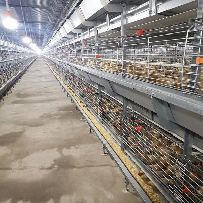 China Q235 Batterijkooien Leghoenders Kiphoudingsmateriaal Type A Te koop