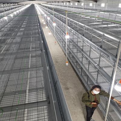 China Three Layers 60 Birds Baby Chick Cage Hot Dip Galvanized for sale