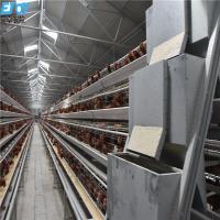 China Customized Multi Layer Poultry Cage Automatic Egg Collection Cages 3 Tiers 126 Chickens for sale