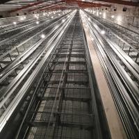 China Hot Galvanized Automatic Layer Chicken Cage 1800x600x430mm for Poultry Farm for sale