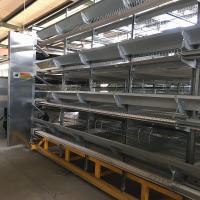 China H-Type Automatic Egg Collection System with 1.5mm Galvanized Steel, 4m/min Speed & 1.5kW Motor for Poultry Farming for sale