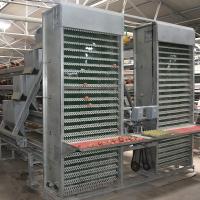 China 4m/Min Poultry Egg Collection System with 100mm PP Belt for A & H Type Layer Cages for sale