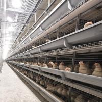 China ISO9001 360-Degree Automatic Chicken Nipple Drinker System for 3-8 Layer Cages with 450cm² Bird Space for sale