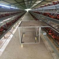 China A Type H Type Layer Chicken Battery Cage System 3-8 Tier Poultry Layer Breeding Equipment 120-384 Birds Capacity for sale