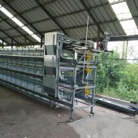 China A Type H Type Layer Chicken Battery Cage System 3-8 Tier Poultry Layer Breeding Equipment 120-384 Birds Capacity for sale