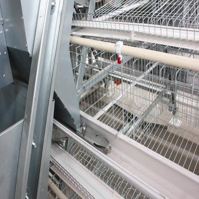 China El pollo de colocación automático lleno enjaula la jaula de la capa del huevo para las granjas de las gallinas de las aves de corral de África for sale