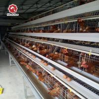 China H Shaped Small Stacked Layer Chicken Cage 6 Tiers 108 Chickens Customized for sale