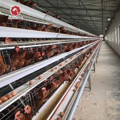 China 3 Tiers 4 Tiers Layer Chicken Battery Cage In Poultry Farm A Type for sale