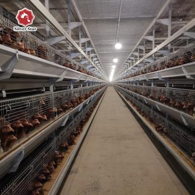 China Poultry Farm Broiler Chicken Cage Galvanized Steel Automatic H Type Q235A for sale
