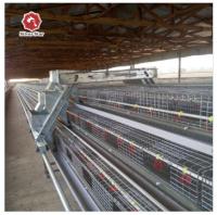 China Customized Multi Layer Poultry Cage Automatic Egg Collection Cages 3 Tiers 126 Chickens for sale
