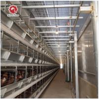 China 4-Tier H-Type Broiler Battery Cage System 0.85×1.25×3.3m with Automatic Manure Removal for 216 Chickens for sale