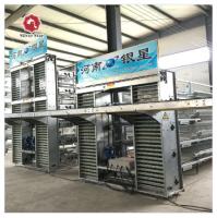 China H Type Automatic Chicken Layer Cage 3-6 Tiers 144-288 Birds Poultry Farm Equipment for sale