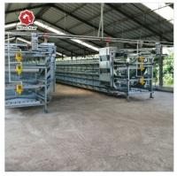 China 6-Layer H-Type Automated Broiler Chicken Cage System with Feeding, Drinking and Manure Removal for sale