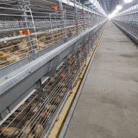 China Automatic Broiler Chicken Cage 3-9 Floor High Density Farm Battery System for sale
