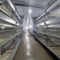 China Automatic Broiler Chicken Cage 3-9 Floor High Density Farm Battery System for sale