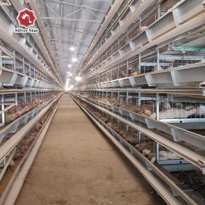 Китай Птицы Q235 72/установили клетку цыпленка слоя стальную с полноавтоматической системой продается