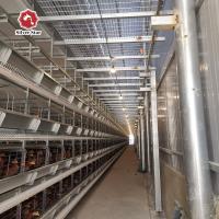 China Wire Mesh H Type Egg Layer Battery Poultry Cage 3 to 8 Tiers 54-144 Birds for sale