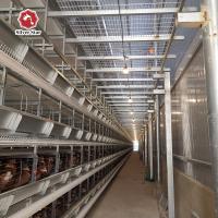 China H Type 4 Tiers Welded Wire Mesh Chicken Poultry Cage 72 Birds per Set 65x218x330cm for sale