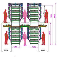 China Hot Galvanized Automatic Layer Chicken Cage 1800x600x430mm for Poultry Farm for sale