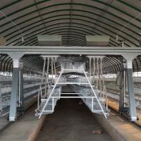 China A Type Full Automatic Battery Chicken Cage Cold Galvanized 120-160 Birds Farm for sale