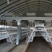 China A Type 3 Tier 120 Birds Layer Chicken Cage with Gantry Feeding Machine for sale