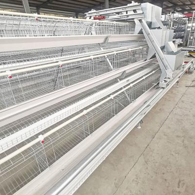 China Poultry A Type Layer Chicken Cage Anti Corrosive Galvanized for sale