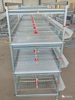 China Galvanized Multi-Tier Broiler Chicken Cage 3-9 Tiers Automatic Feeding System for sale