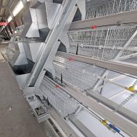 China A Type Automatic Baby Layer Chicken Brooder Cage 3 Tier 183x230x130cm for sale