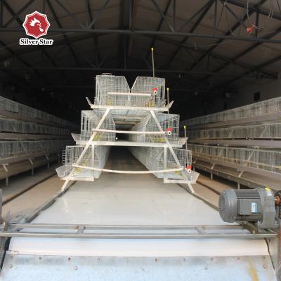 China 3 Tiers Full Automatic Broiler Baby Chick Cage With Sliding Grids for sale