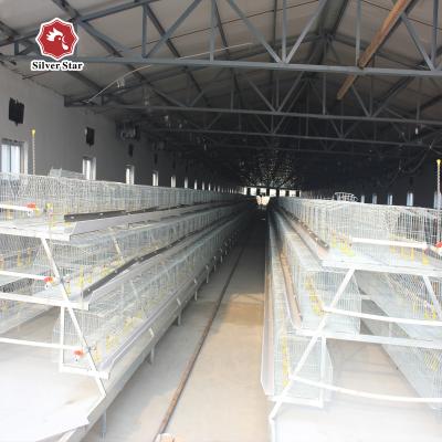 China A Type 3 Tiers Meat Broiler Baby Chick Cage 13 Chicks/Cell for sale