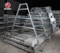 China A Type Automatic Baby Layer Chicken Brooder Cage 3 Tier 183x230x130cm for sale