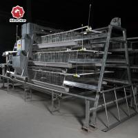 China A Type Automatic Baby Layer Chicken Brooder Cage 3 Tier 183x230x130cm for sale