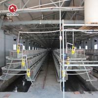 China A Type Automatic Baby Layer Chicken Brooder Cage 3 Tier 183x230x130cm for sale