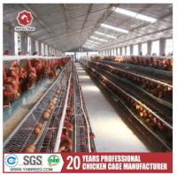 China Hot Galvanized Layer Chicken Cage 410x410mm Step Cage for 20 Hens Poultry Equipment for sale