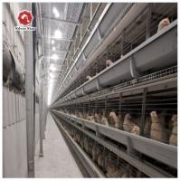 China Galvanized A-Type 5-Tier Layer Battery Cage System for 120 Birds Automatic Poultry Equipment for sale