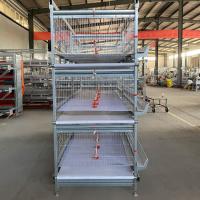 China H Type Broiler Cage with Poultry Drinking System - 3/4 Tier Design, 100×150×49 cm Cells, 15+ Year Durability for sale