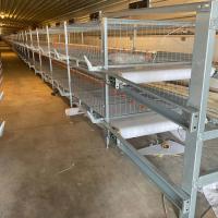 China Automatic Broiler Cage System with Poultry Drinking Equipment - 3-Tier & 4-Tier Options, 100×150×49 cm Cells for sale
