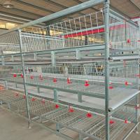 China Hot Galvanized H Type Broiler Cage Poultry Drinking System - 3/4 Tier, 90-120 Bird Capacity, 500cm² per Bird for sale